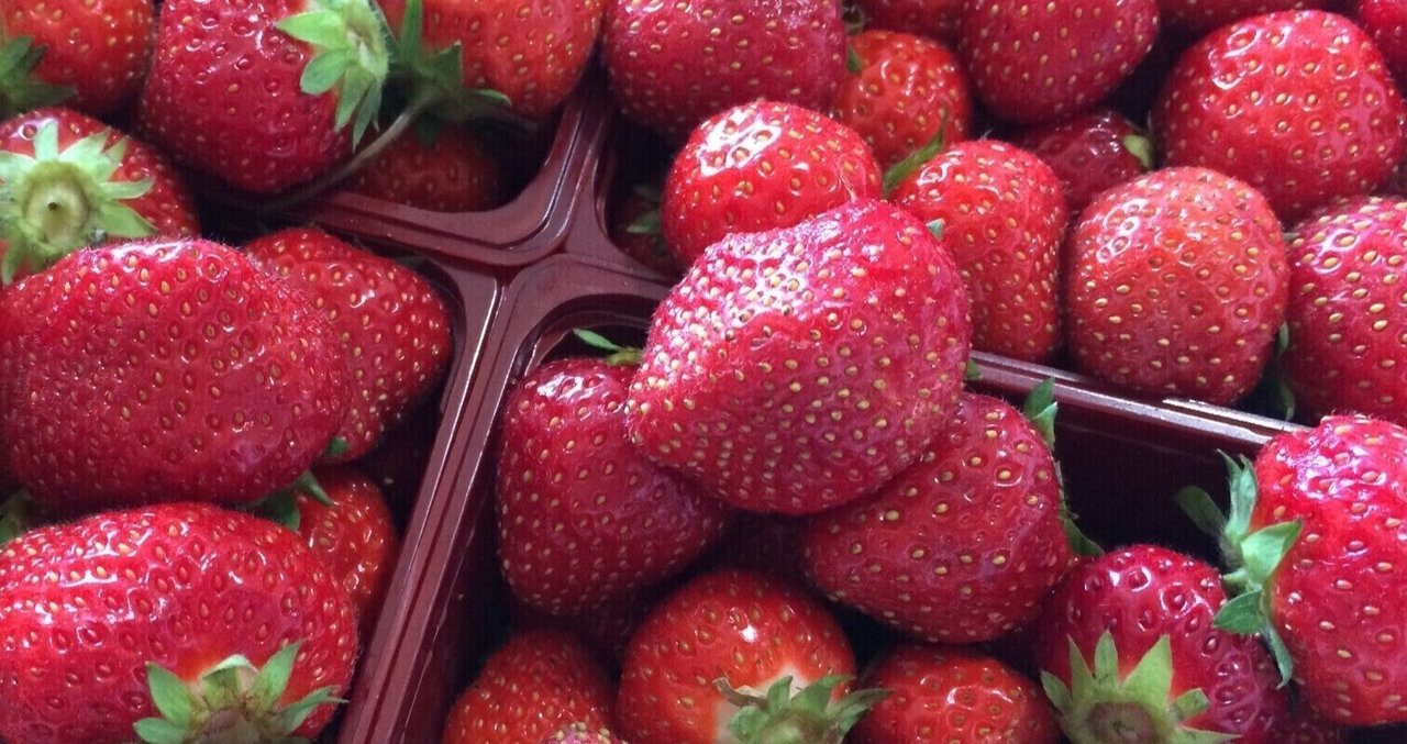 新企画 ️コラボde株デビュー‼️いよいよスタート🎵｜manami