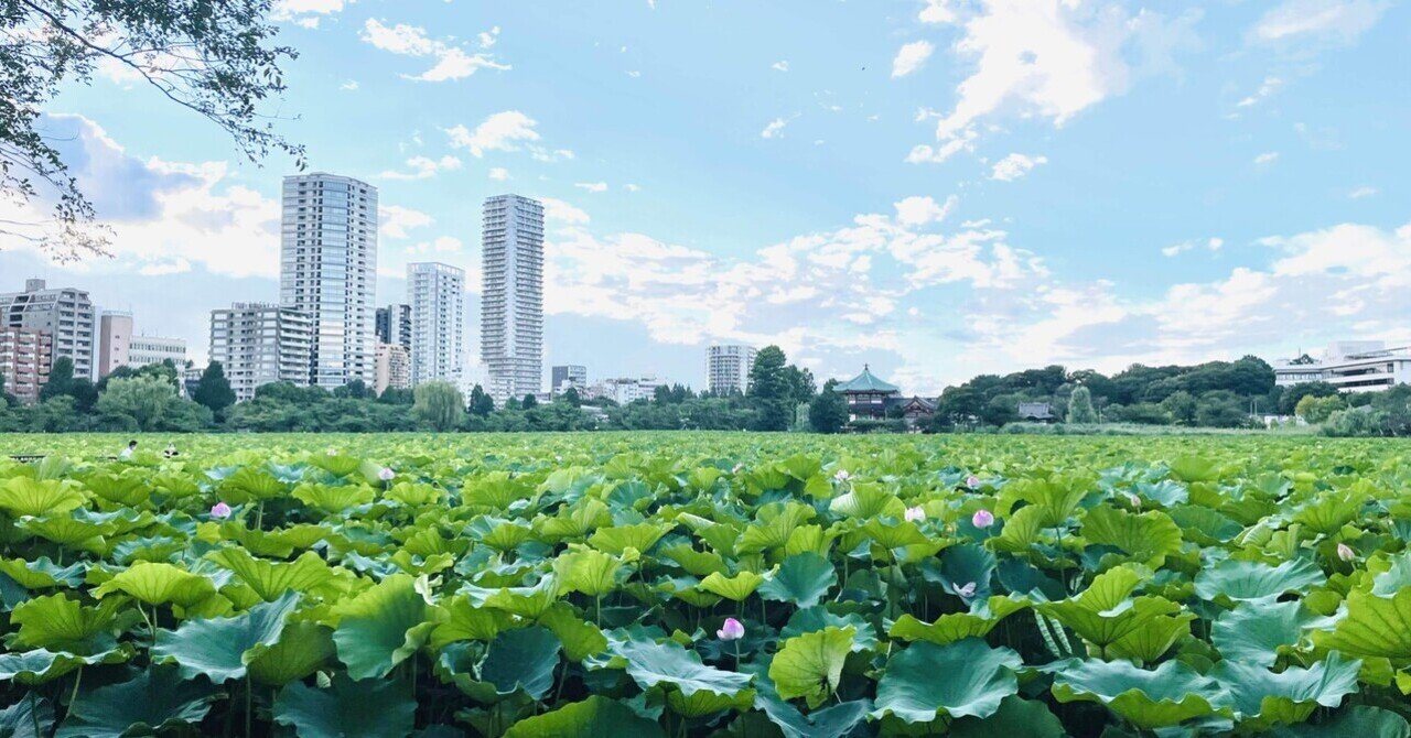 番外作業 補水【養蜂生活105日目】｜yabusan（823）