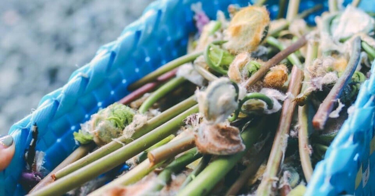 本間ちゃんの『なんとなく好き』から2つ、あなたにとっても「好き」を見つけてみてください＊｜よしのゆうみ