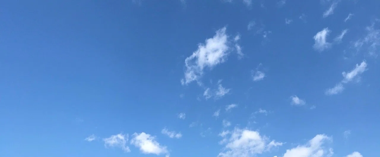 春よ、来い。｜Asako Yamada（山田 麻子）｜note