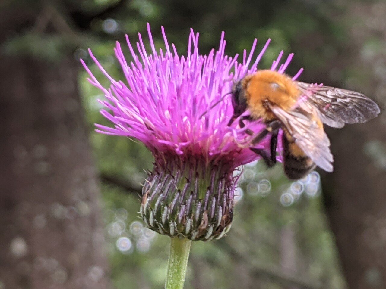 剣を突き上げるもの｜riko