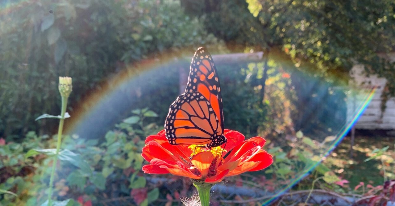 自分の頭や経験だけでどうにかなると思うべからず｜Keiko Usami