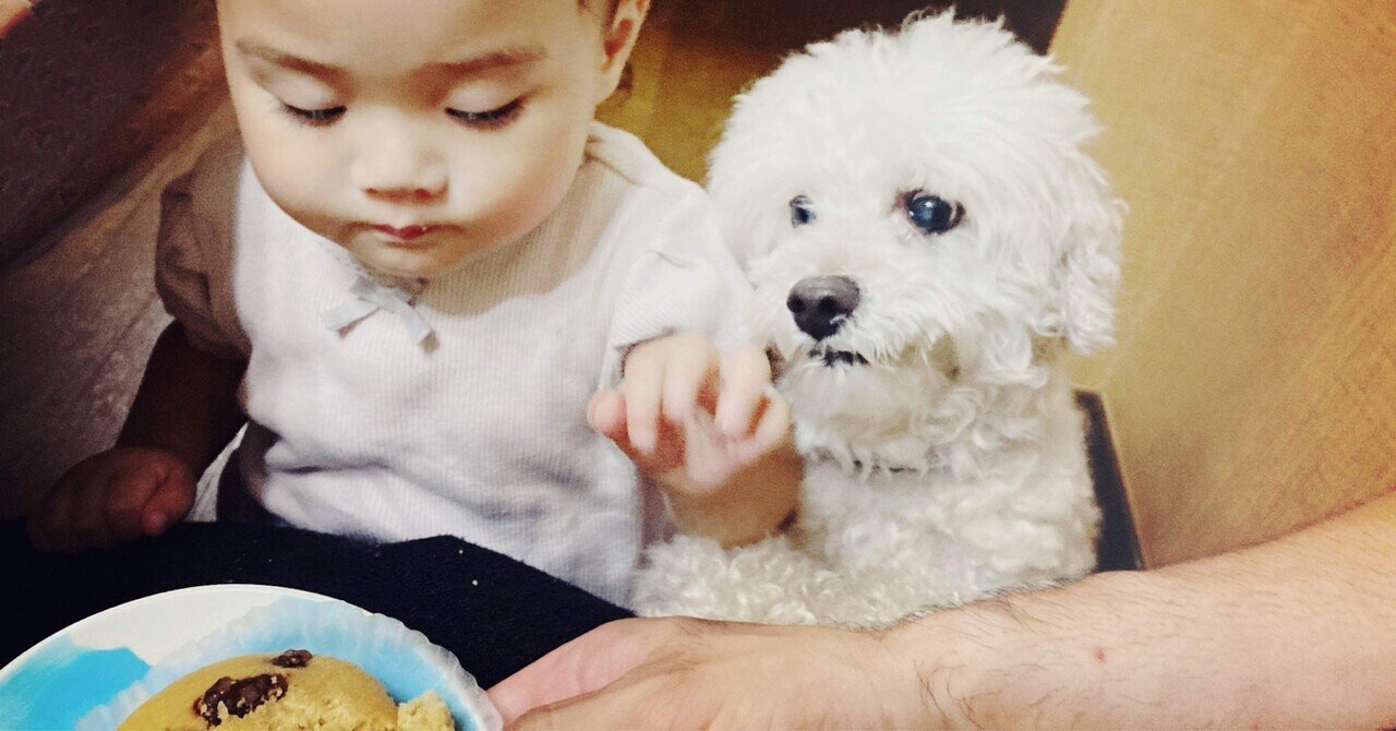 nikki20210803｜hikashi