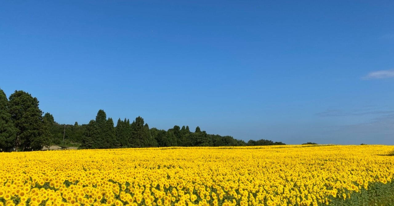 お客様には大変ご迷惑をお掛けしています🙇🏻柿川亭の物語217｜Masatoshi Oka | 柿川亭｜note