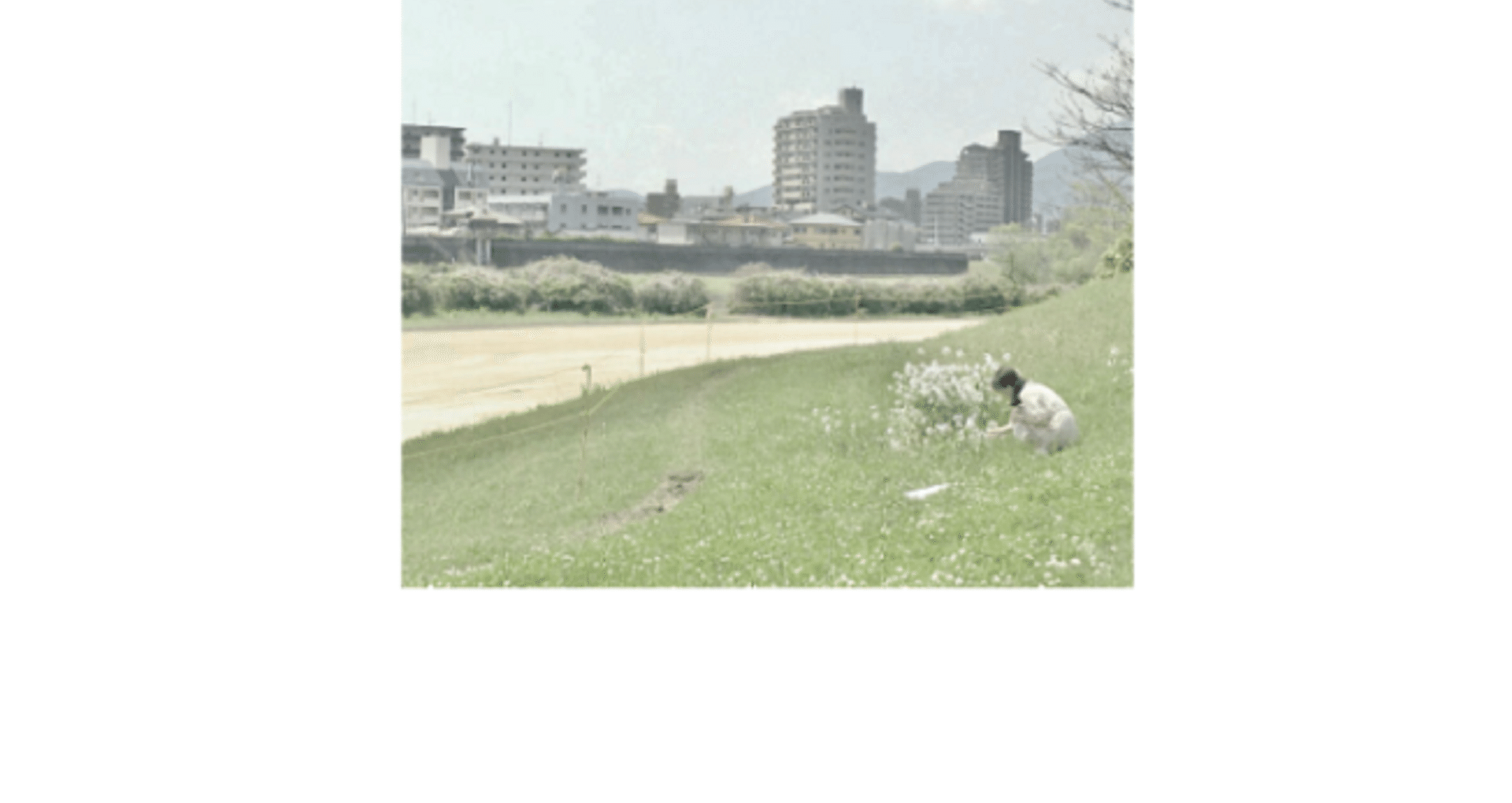 Yuto Nakamura｜note