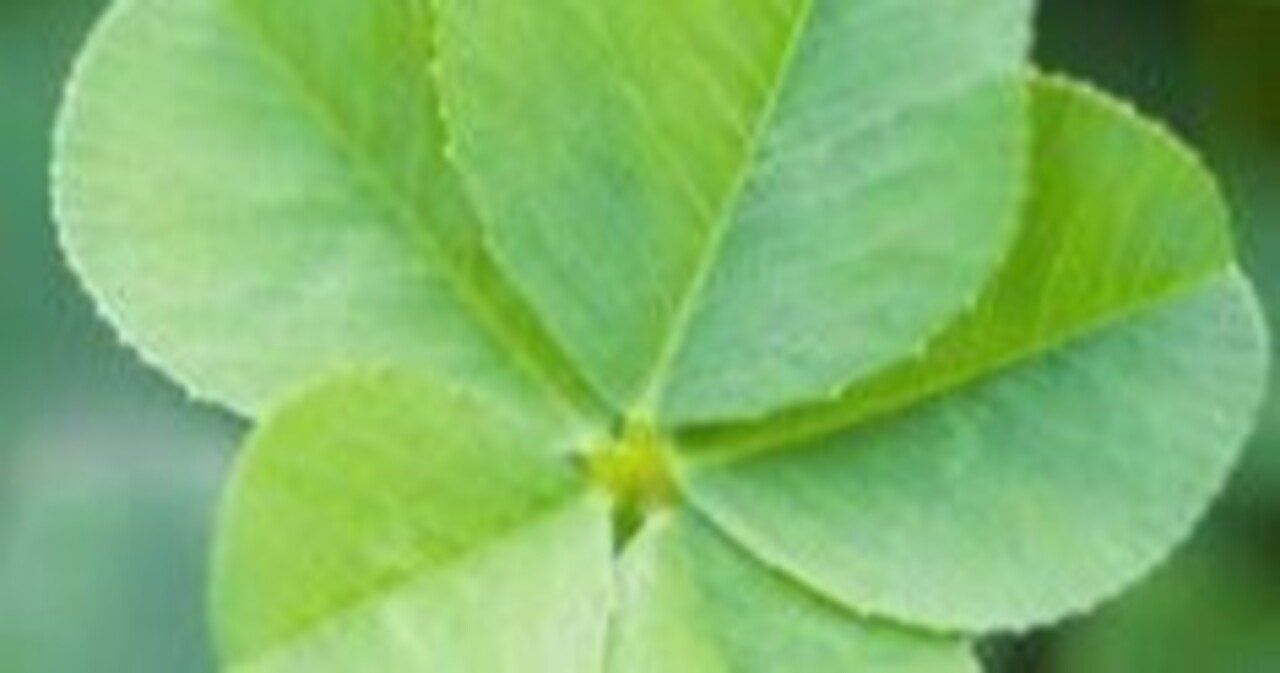 土曜日も稼ぐ♪｜haP_chiP｜note