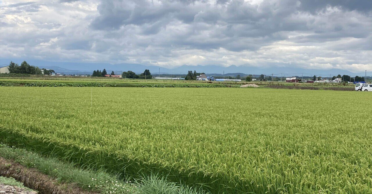 母のグチといい娘｜みっちー🌈Michiko Tsukuda