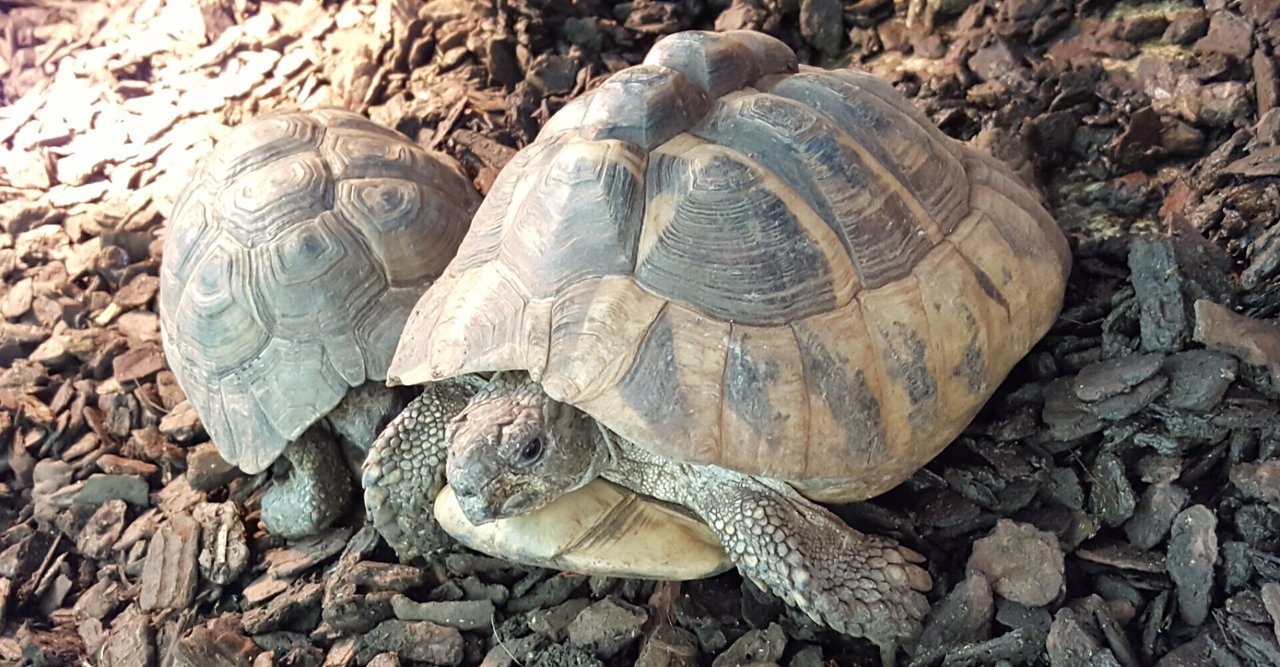 お盆が近いので3-③｜虹の彼方から Bright day EIKO