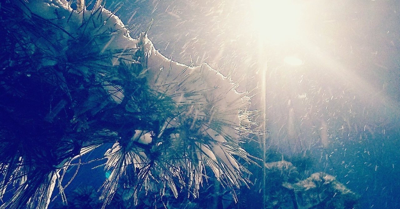 【次世代型 療院構想】開業後の流れと料金体系について｜K・HAMANO