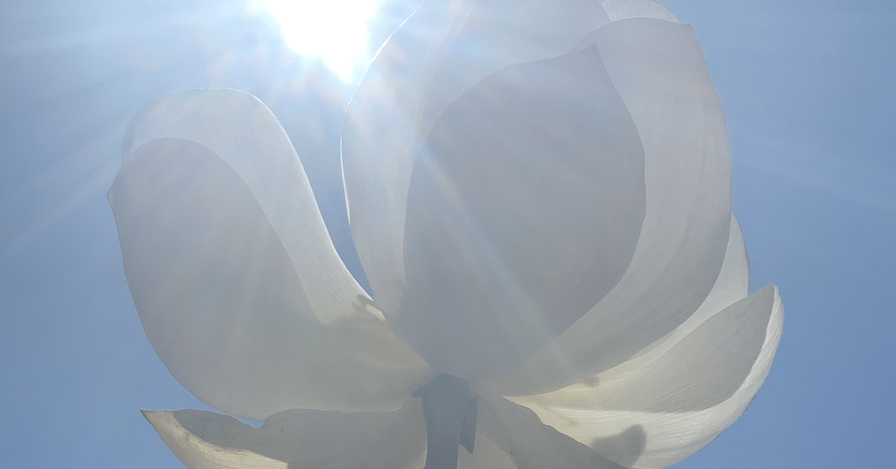 「優しさ」と「生活保護」と「命」と｜ KAZUKO ｜note