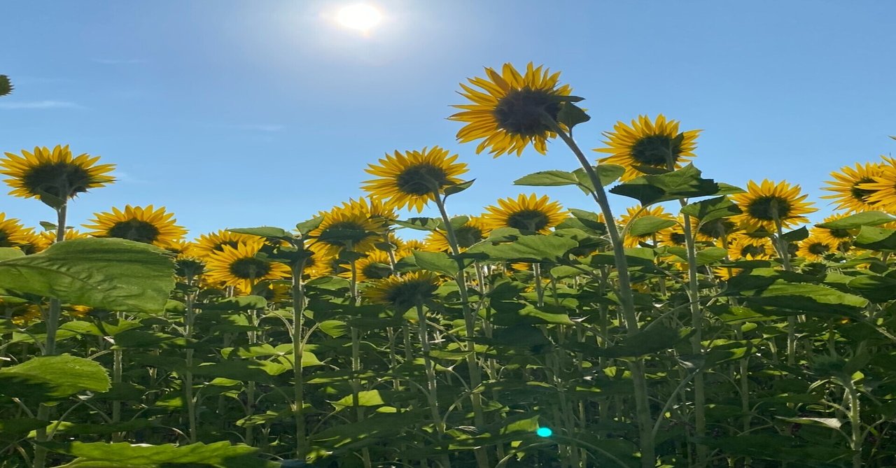 読んで欲しい記事があります💡柿川亭の物語220｜Masatoshi Oka | 柿川亭