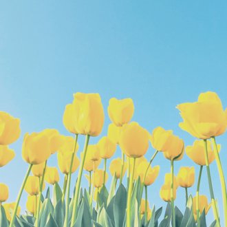 塾に行くお金なんて｜arinko