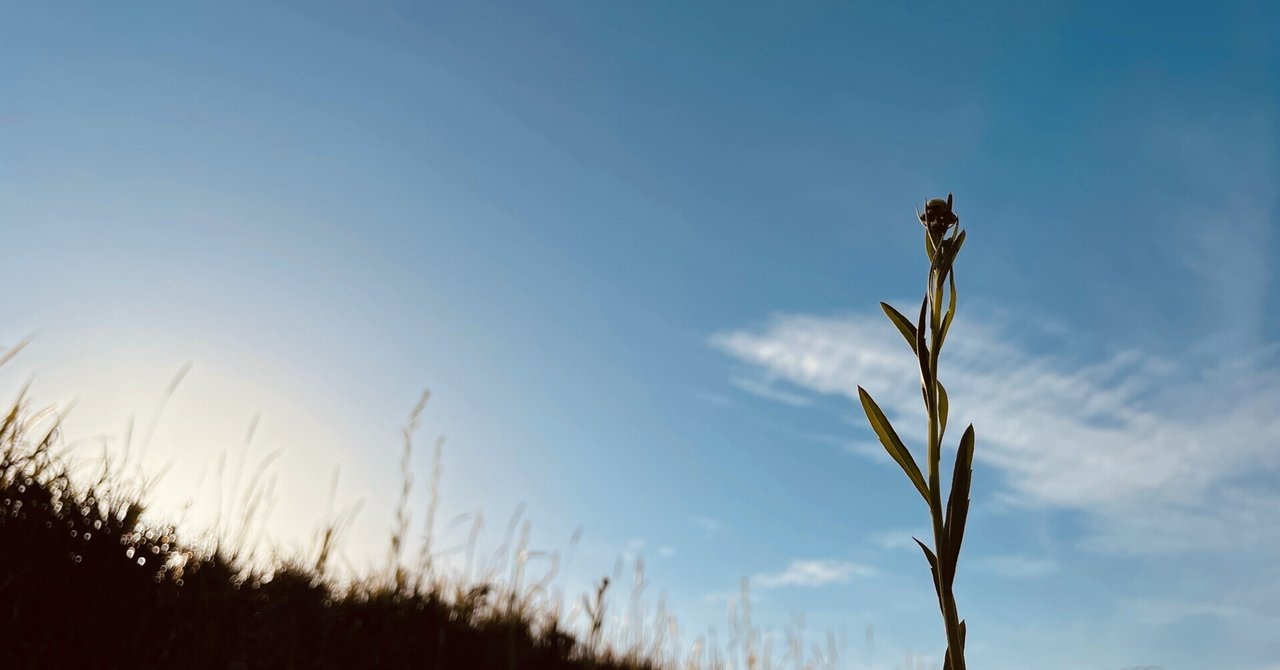 強くても、心がある限り。｜zhilian(ジリアン)