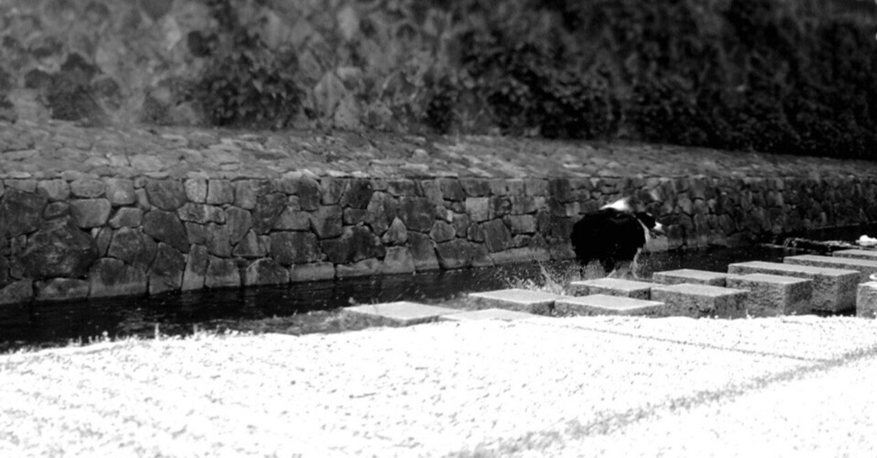 綺麗事｜vugg｜note