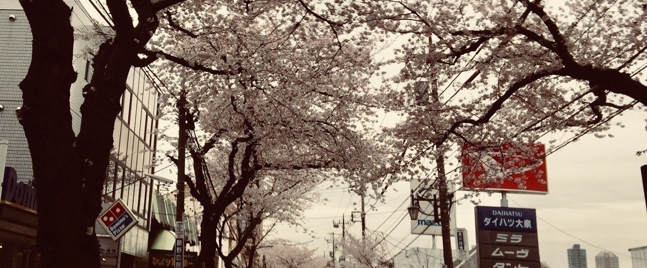 桜並木 Part2｜Code for Nerima｜note