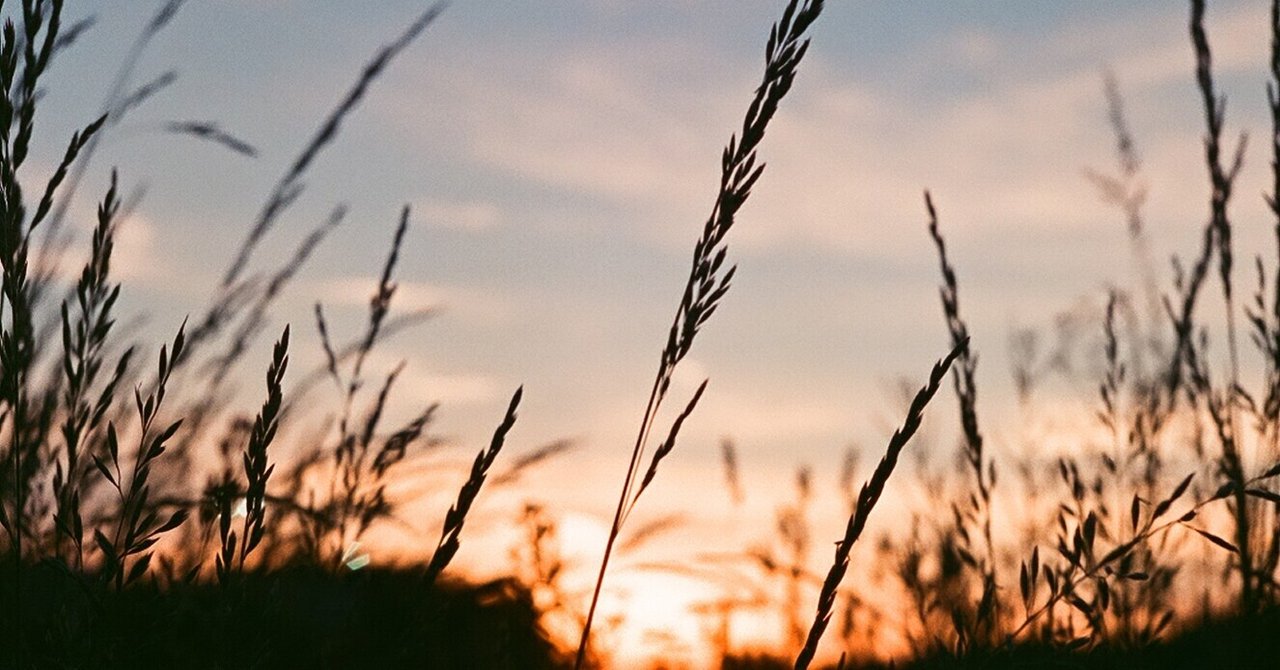 夜明け｜shunta_sato