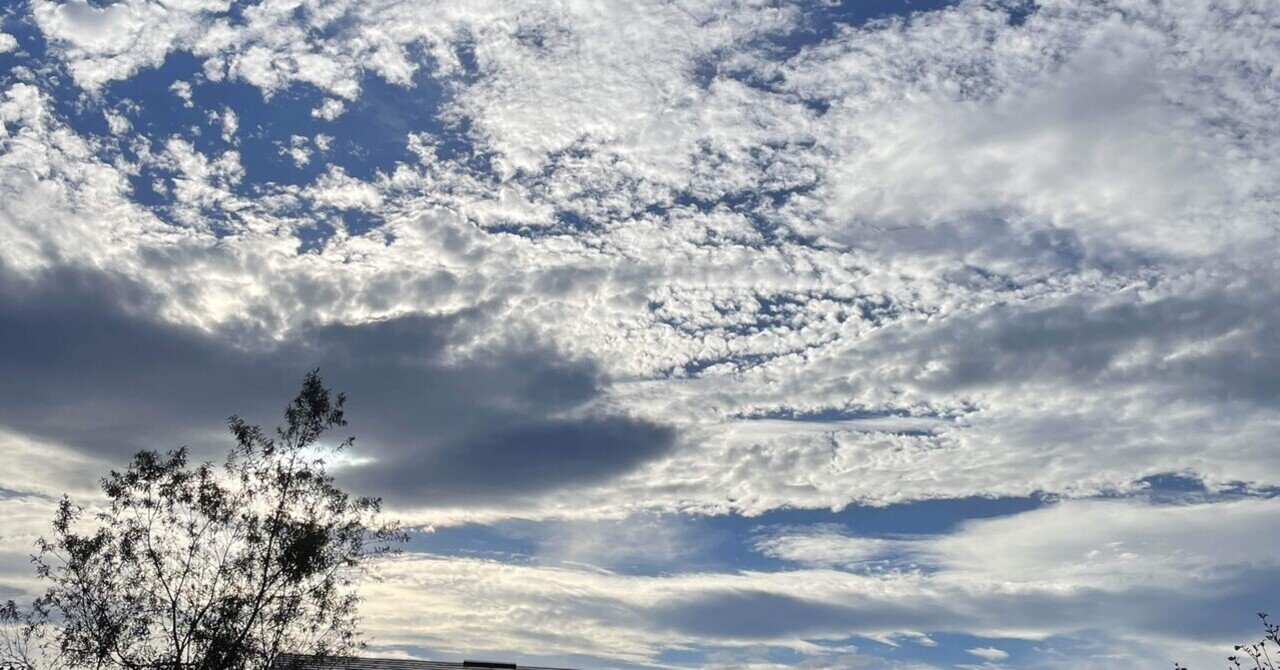 24.チャンスを掴むヒトの特徴｜Riko Kuma｜note