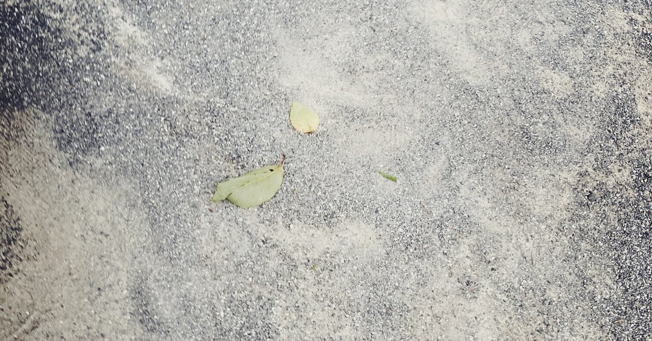 nikki20210824｜hikashi