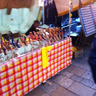 ryan_human_2021｜note