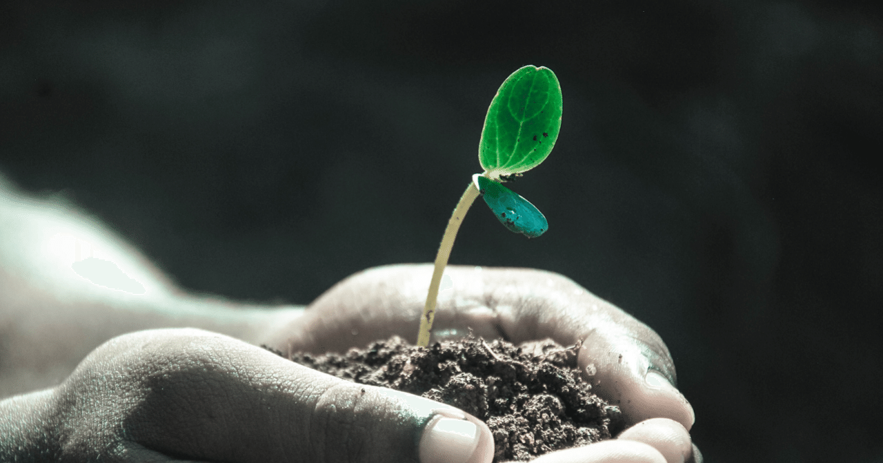 成長している実感がない。と悩むあなたへ｜Stockr (ストッカー)