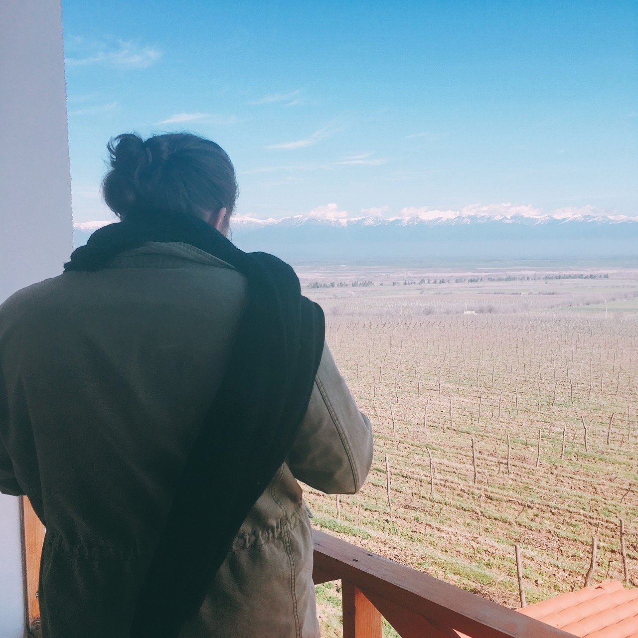 John Wurdeman さん アメリカ出身、お父様がソ連の美術商、ご自身はソ連美術を大学で選考、卒論製作のために、シグナギへ。 ジョージア ...