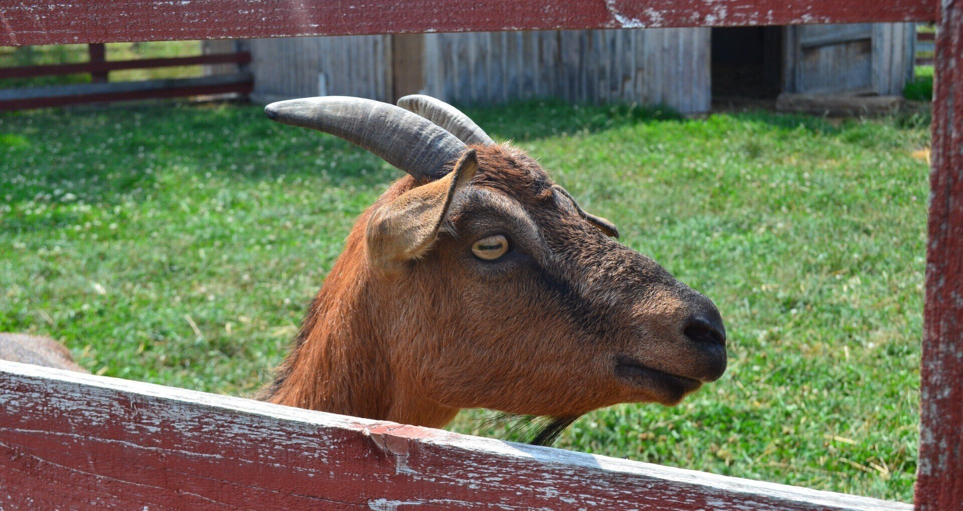 通りすがりのkoni｜note