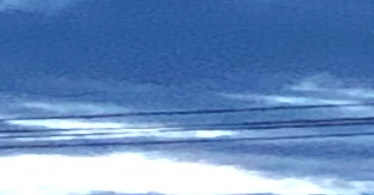 そして「手法の暴走」を何度か目にした(1)｜ぺーぱー・しょーじぃ