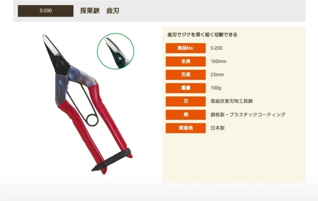 My Personal Best: Scissors Edition｜めし