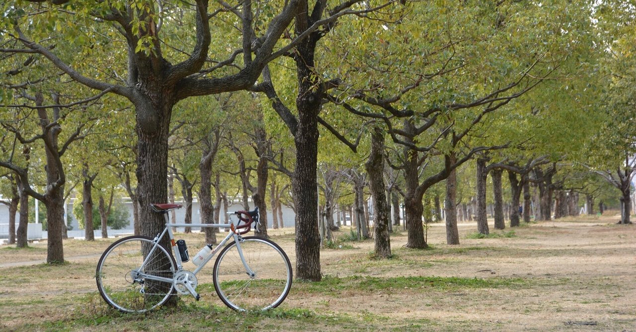 Are-Core-Dore-Sore (あれ・これ・どれ・それ)｜GIGIO_GIGIO