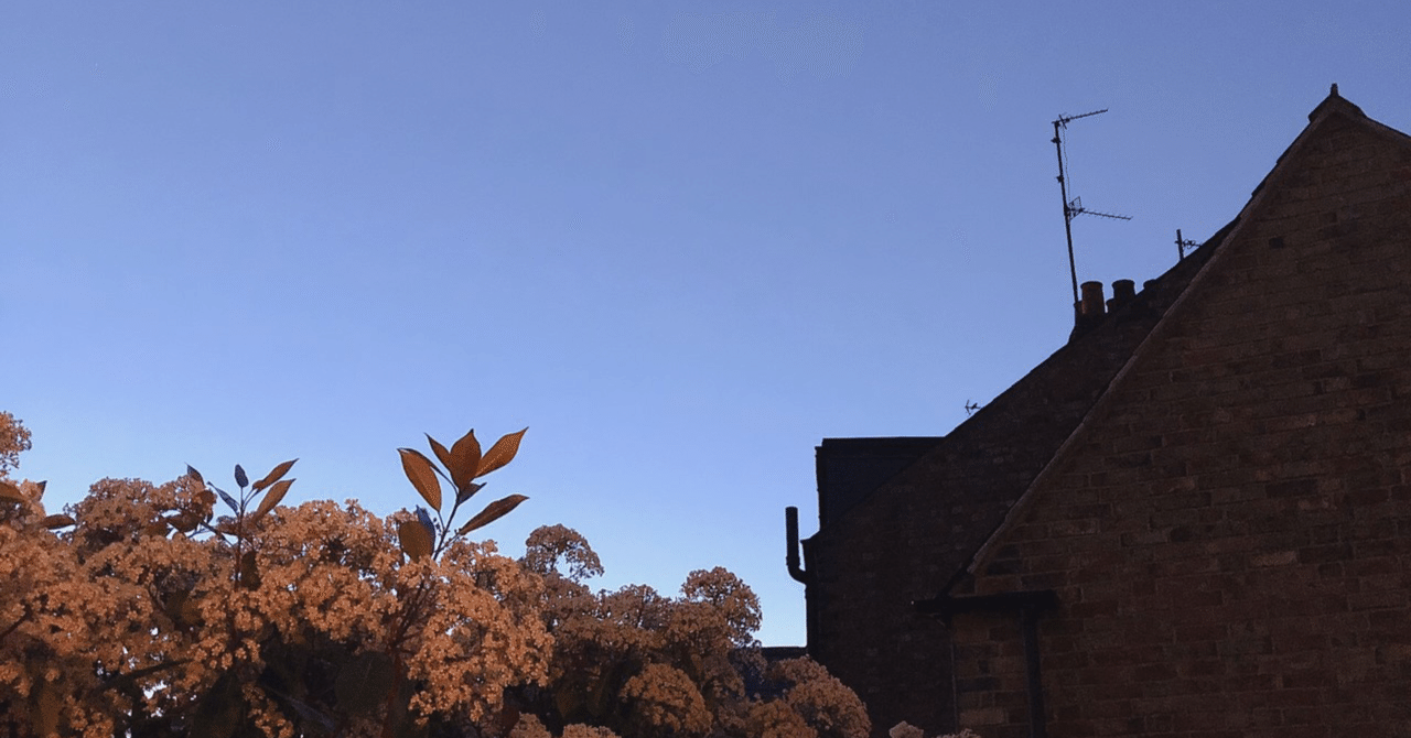 Don’t look back in anger ｜pico ｜note