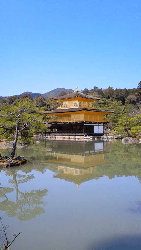 自己紹介｜kouhei｜note