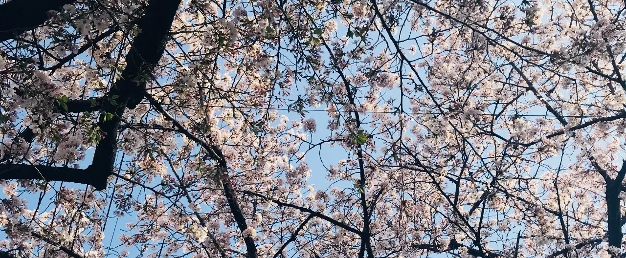 限界を決めるのは自分で、限界を超えるのも自分｜Asako Yamada（山田 麻子）