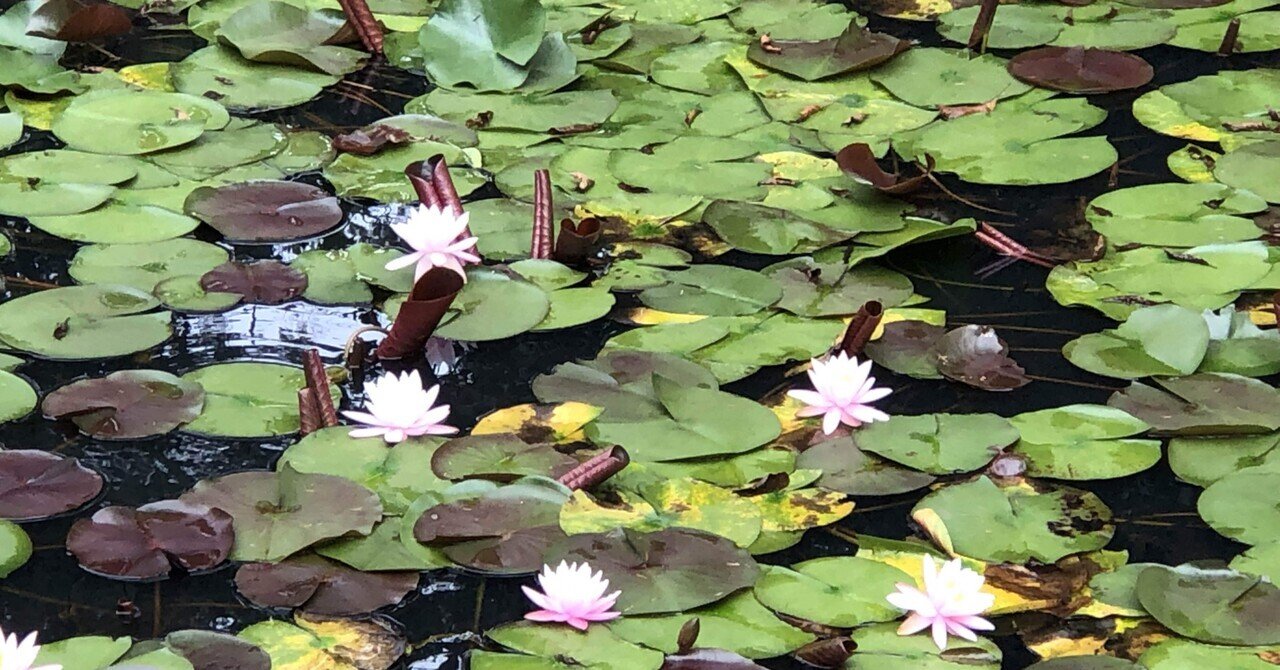 バガヴァッド・ギーター入門勉強会(全3回)｜eiko_ichikawa｜note