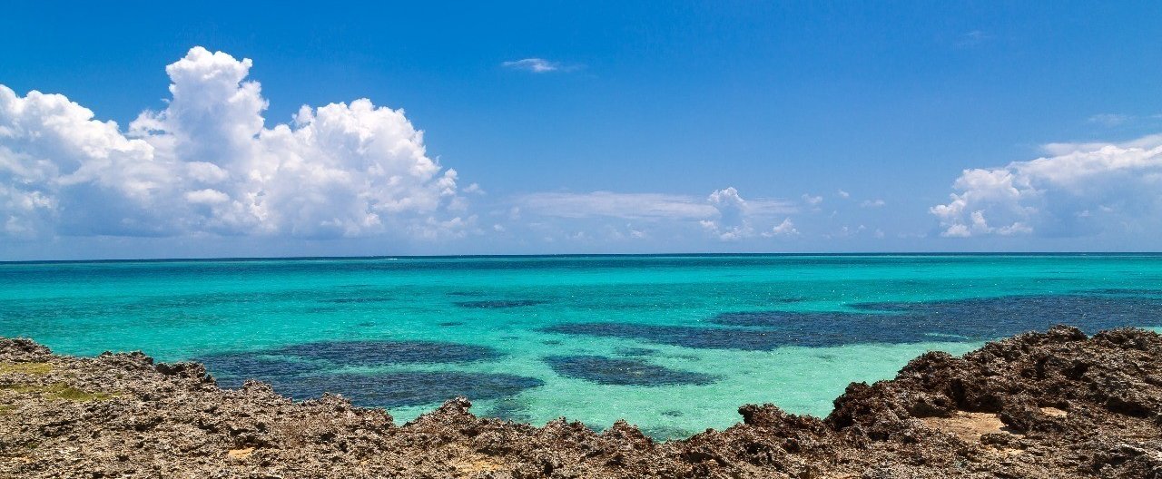 note新機能は使った方がいいに決まってる。｜hareya_itaru｜note