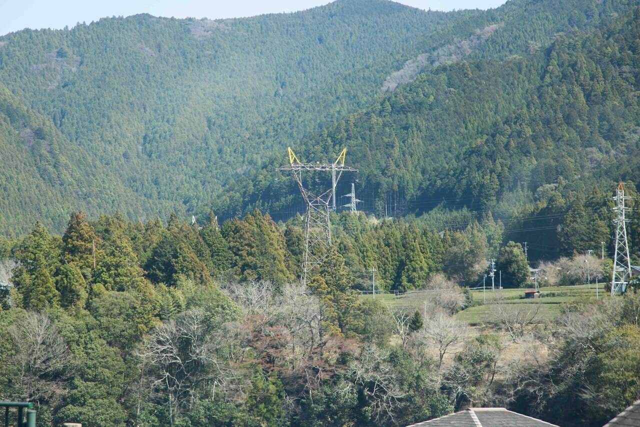 地域コレクティブ「ART DROPS」はじまります。｜Emi Kodama