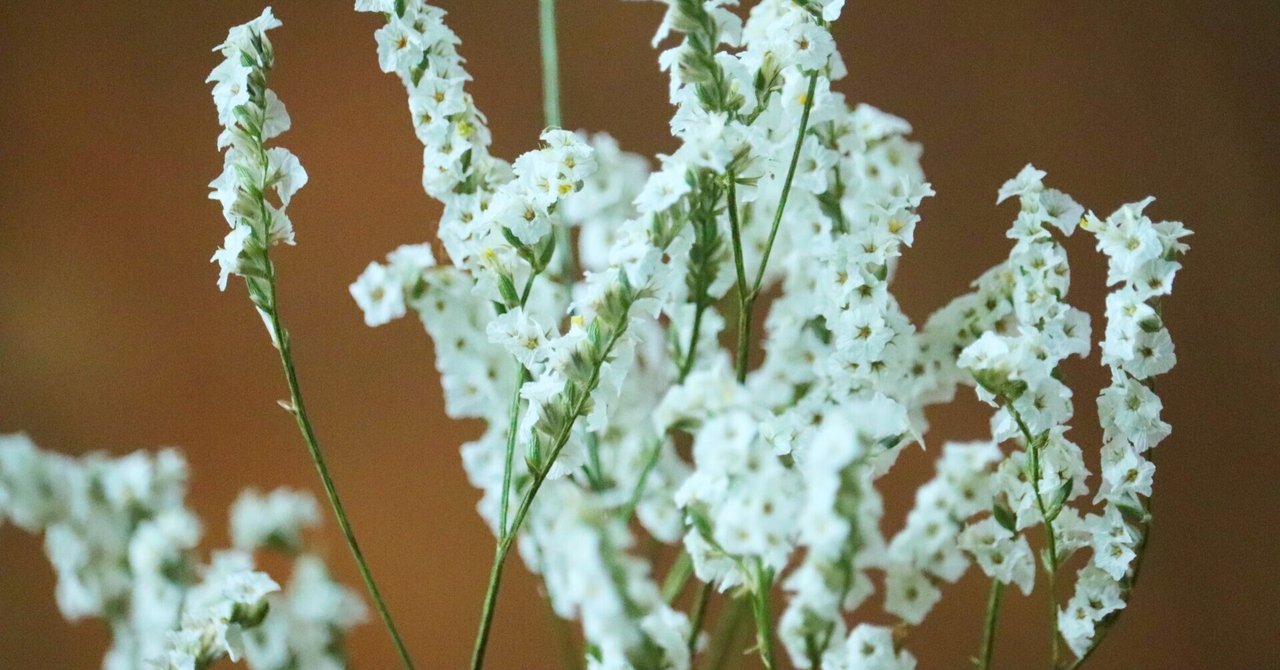 自分にしか見えない風景｜Sosyu Kikuchi｜note