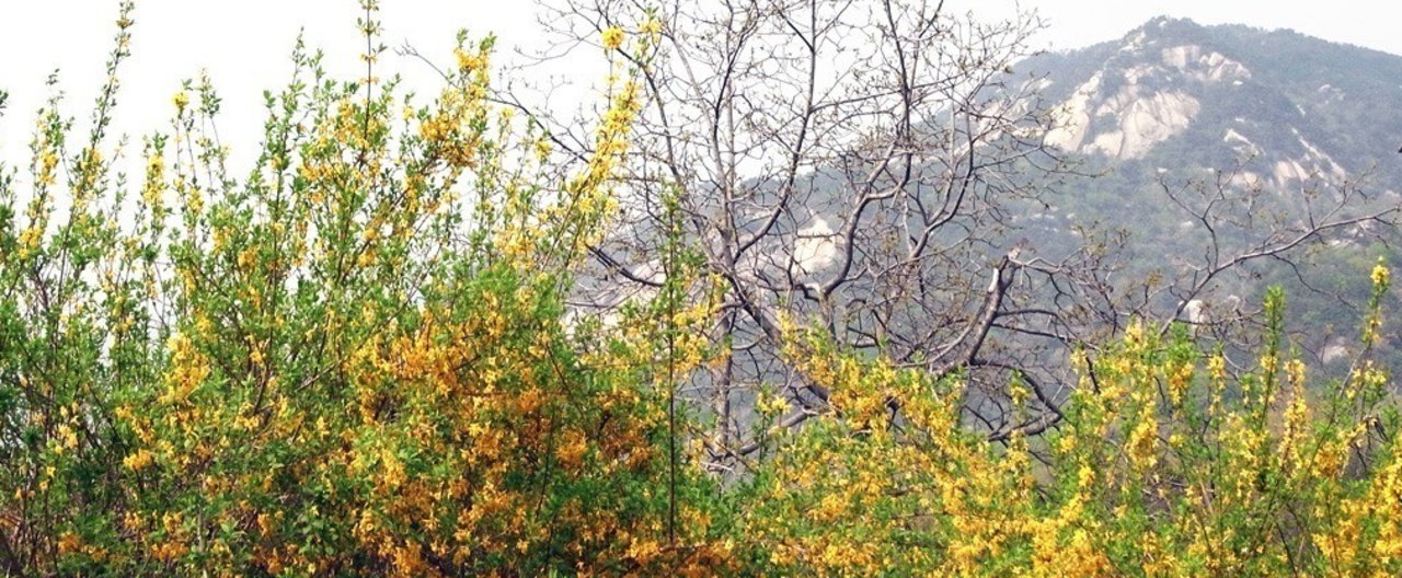 春の、色。｜kotonoha_seki