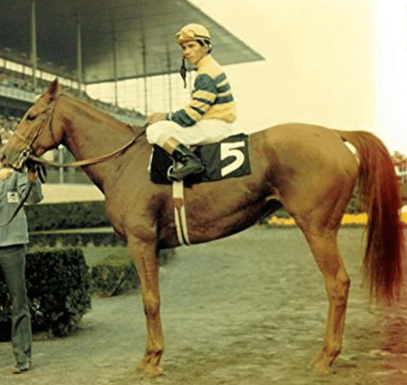 【すぱっと！POG `21-`22】SPAT4「地方競馬POG」 8月結果｜バリアシオン@競馬血統予想｜note