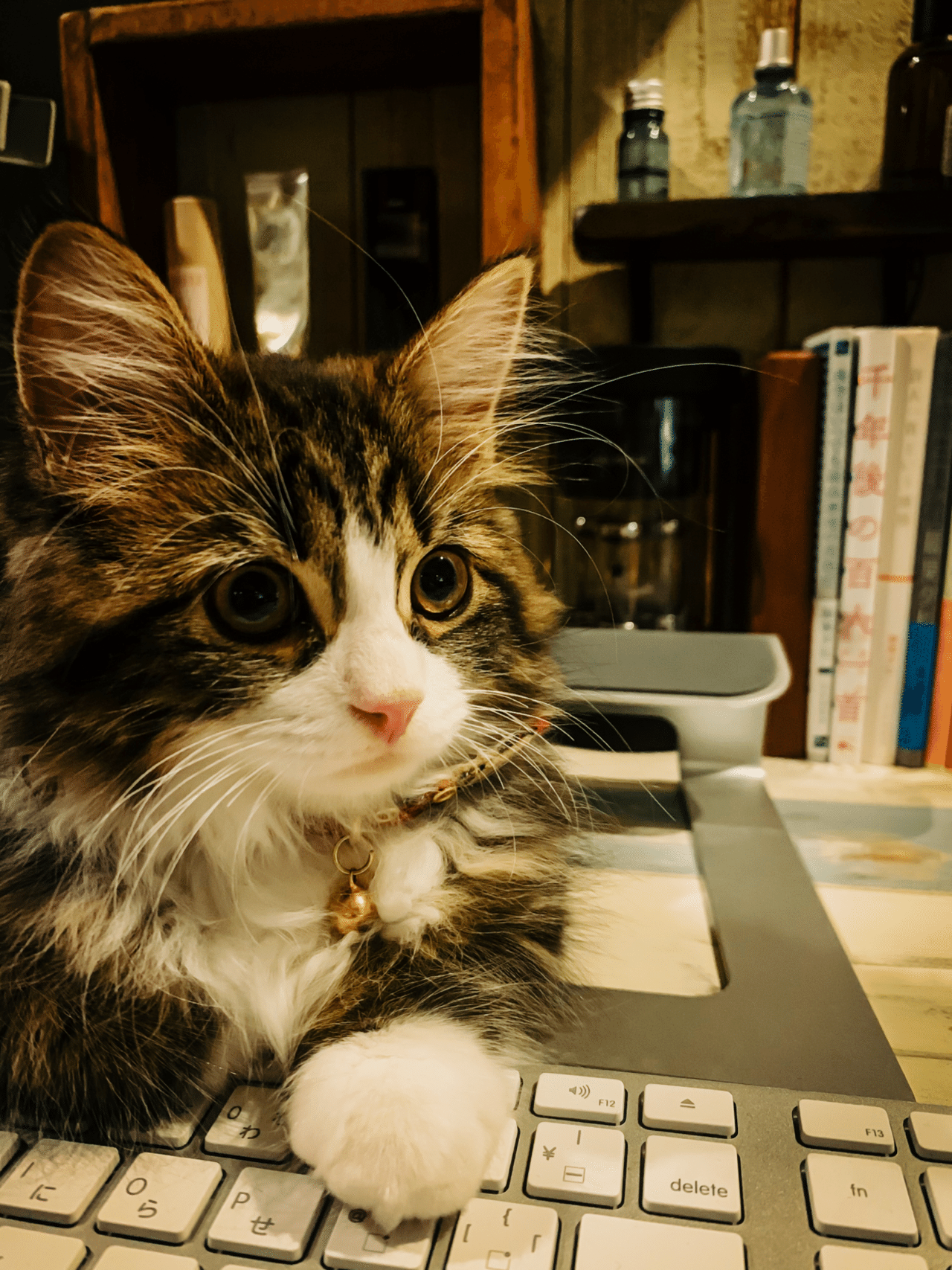 臼井百々 20210602｜\\ uto-usui