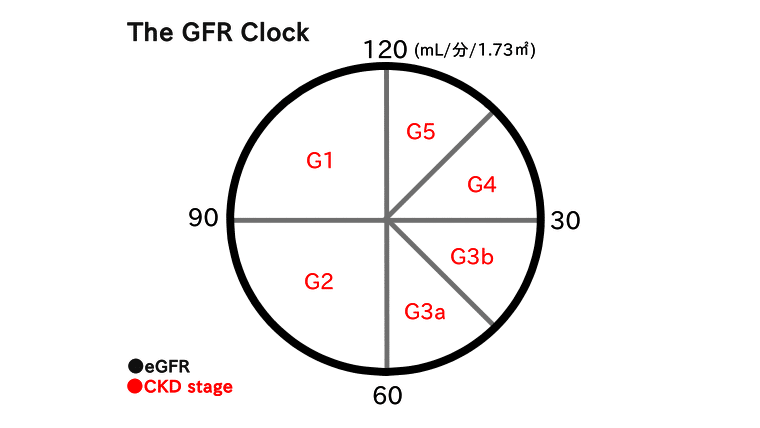 慢性腎臓病（CKD）における意思決定支援に必要なプロセスとは【#在宅医療研究会オンライン｜8月度開催レポート】｜在宅医療研究会