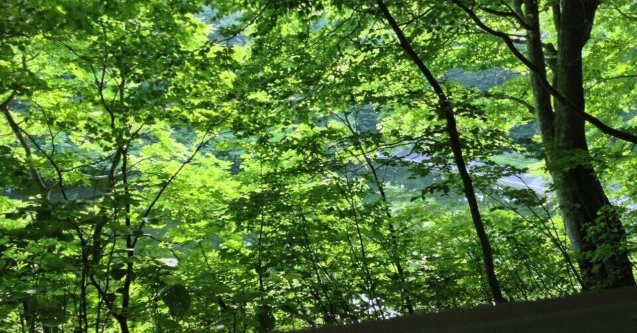 ISOLT（イゾルト） Undying Love 永遠の愛 【224/365】🙃｜きょんきょん｜note