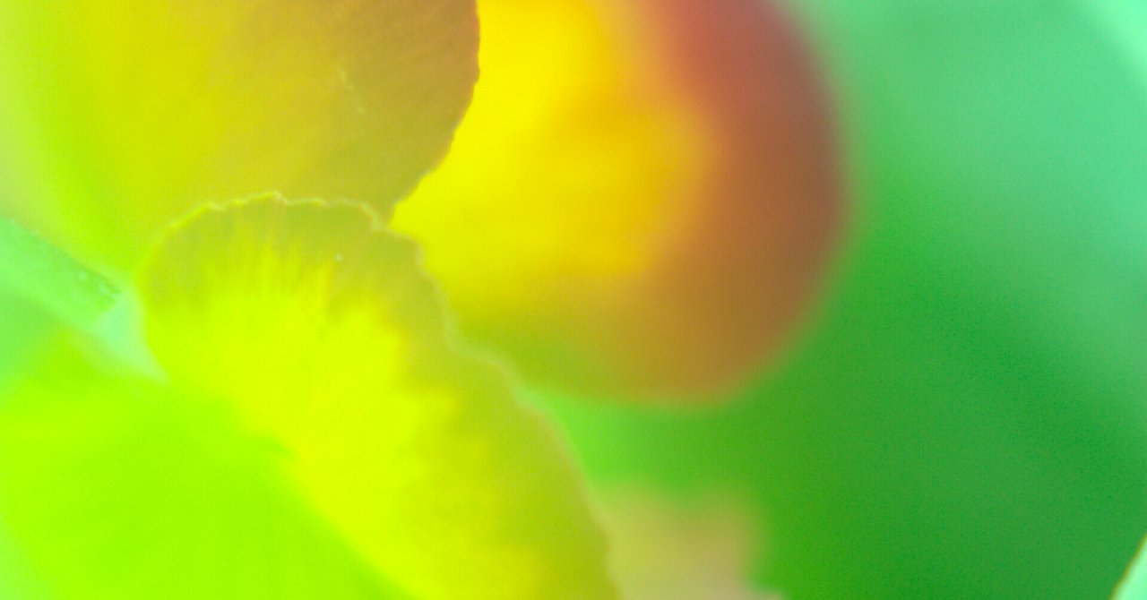 花みくじ｜Cosmic Suzu｜note