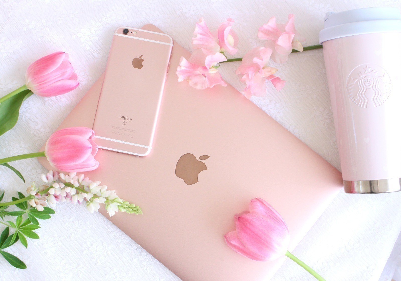 ゆか / Yuka Noboru｜note