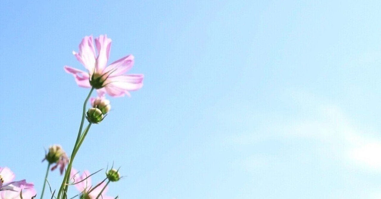 noteを咲かせる。｜Furusawa.S｜note