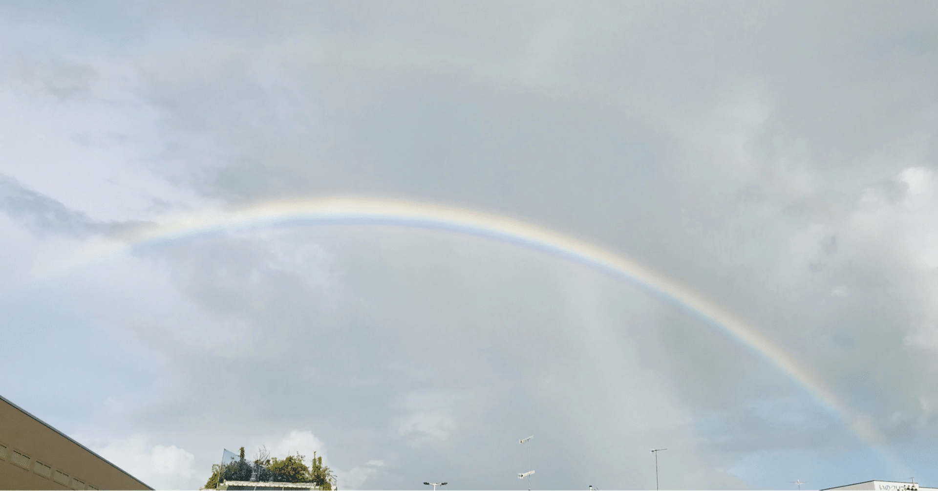 Miruka（ミルカ）｜note