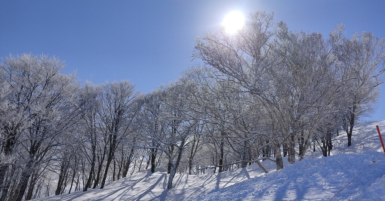 「COVID-19の影響巡り方向性の意見割れる」｜KINGSTONE_PROJECT