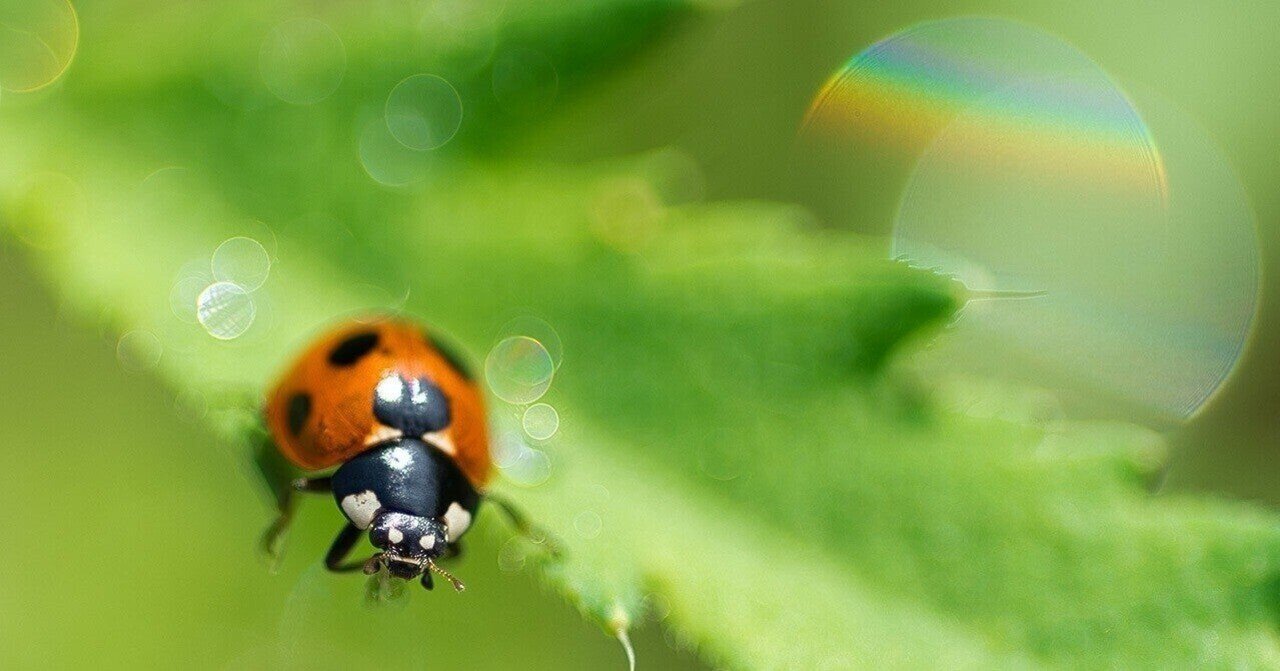 息吹く｜atta DIPA