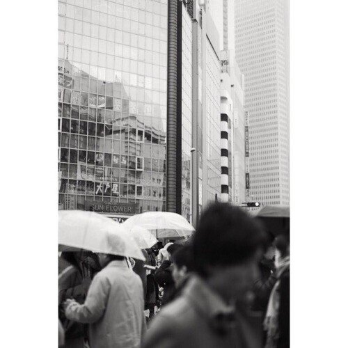 雨のMonochrom｜tsuyoshi.m