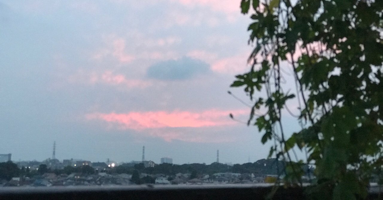 窓越しの世界 2021.9.17~19｜笹倉慎介／Shinsuke Sasakura