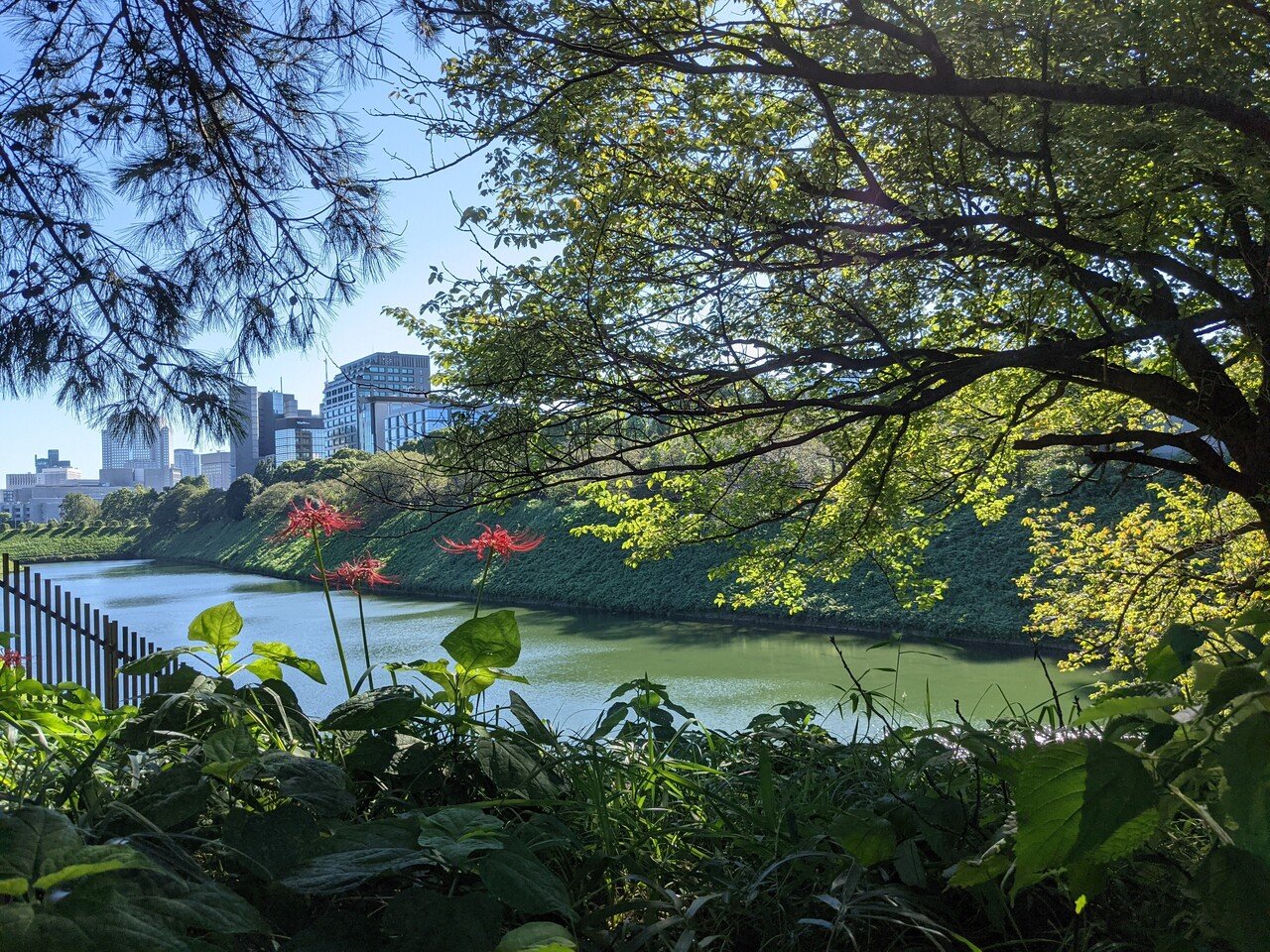 俳句100本ノック会場、また移りました！ 1000本も全く夢じゃない 第8弾は、かっちーさん来ました。 👇 https://note.com/kacchyjp/n/n6ef4c7014245 ...